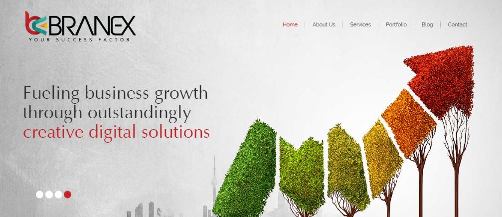 Branex Design Principles - Branex