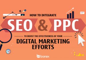 How To Integrate SEO and PPC to Boost The Effectiveness of Your Digital ...